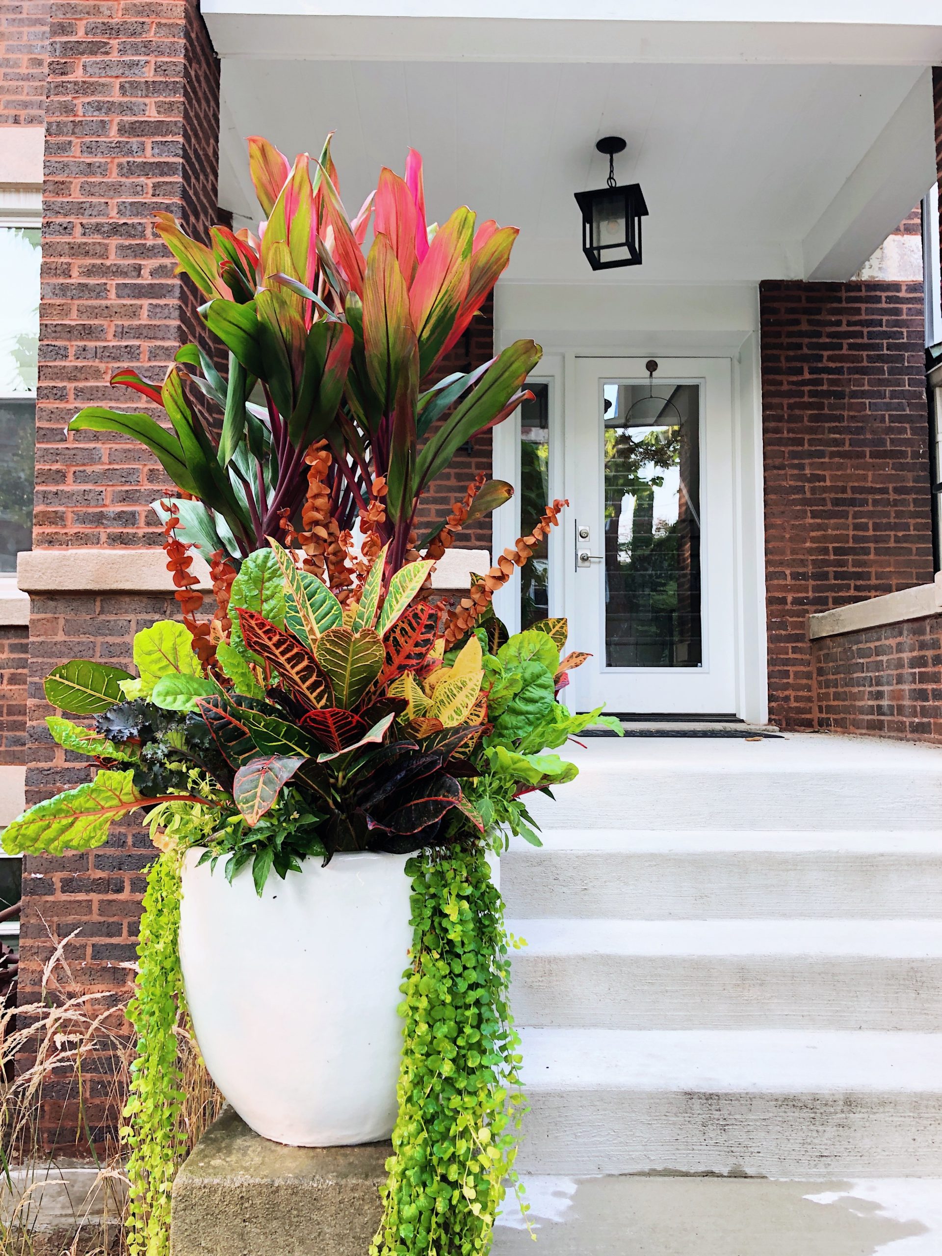 Seasonal Planters - Koreman Landscape Company